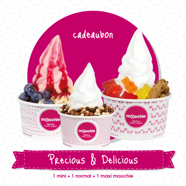 Frozen yogurt webshop - Moochie