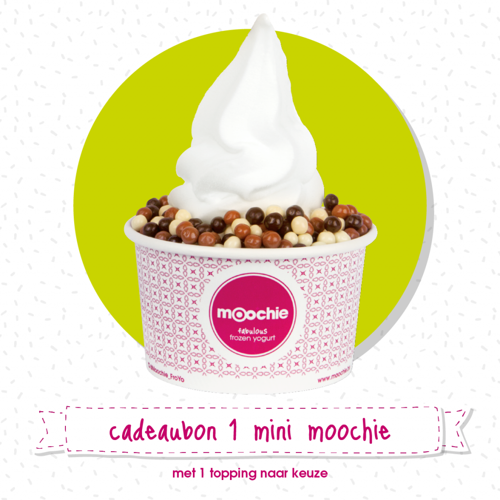 Frozen yogurt webshop - Moochie