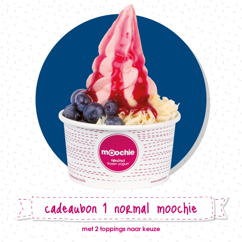 Frozen yogurt webshop - Moochie